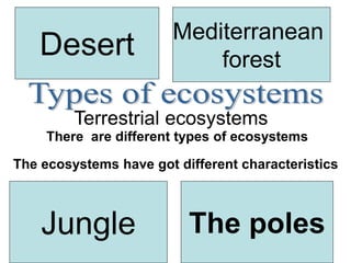 Unit 5 ecosystemspdf | PDF | Polar Travel | Travel Locations
