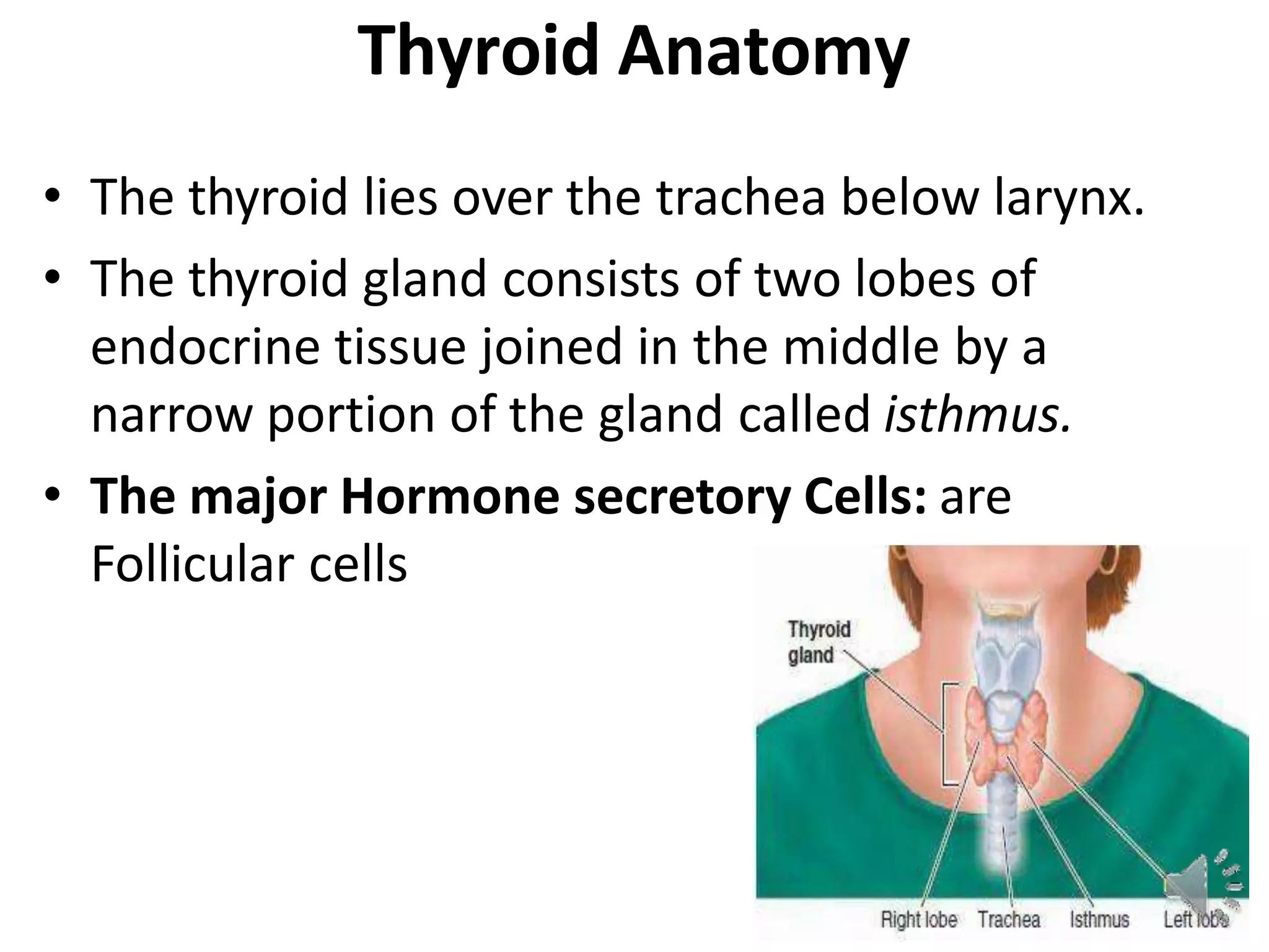 Unit 5; Endocrine system, Educational Platform.pptx