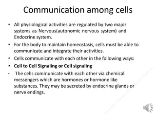 Unit 5; Endocrine system, Educational Platform.pptx
