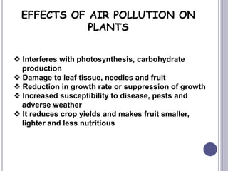 Unit 5 environmental pollution 2 | PPT