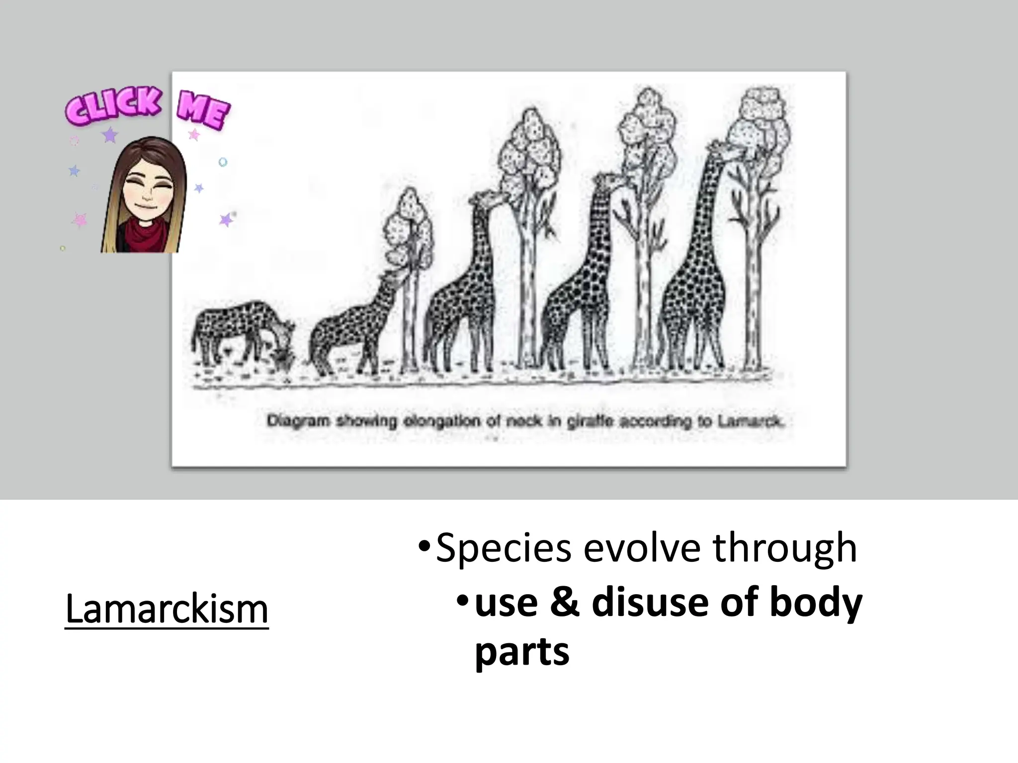 Unit 5_Evolution by Natural Selection_Complete.pptx