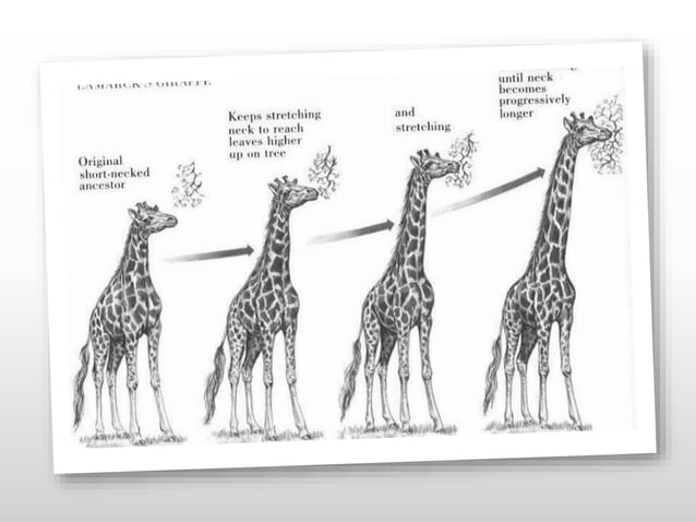 Unit 5_Evolution by Natural Selection_Complete.pptx