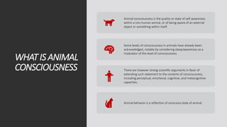 Unit 5 - CONSCIOUS ANIMAL EXPERIMENTS | PPTX