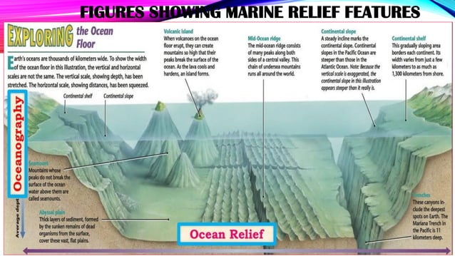 Unit 5 Forms of Relief.pdf