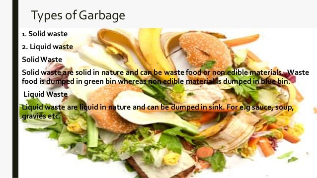 Garbage disposal and clean environment.pptx