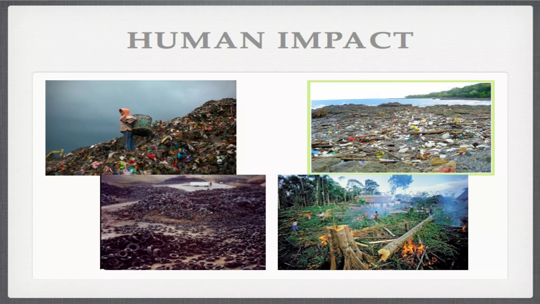 Unit 5 Human Population Dynamics | PDF