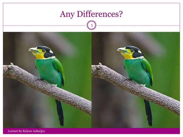 Introduction to Image Compression | PPTX