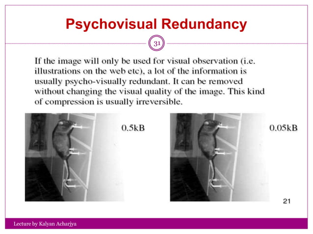Introduction to Image Compression | PPTX