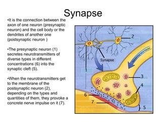 Unit 5 interaction | PPT