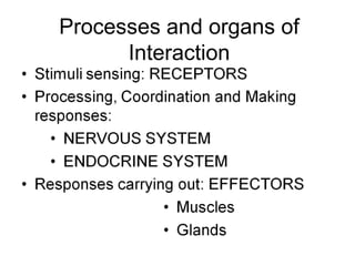 Unit 5 interaction | PPT