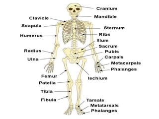 Unit 5 interaction | PPT