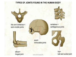 Unit 5 interaction | PPT