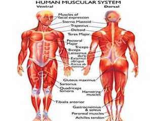 Unit 5 interaction | PPT