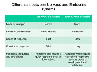 Unit 5 interaction | PPT
