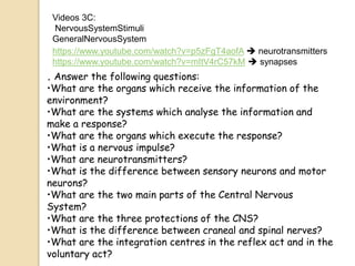 Unit 5 Nervous System | PPT