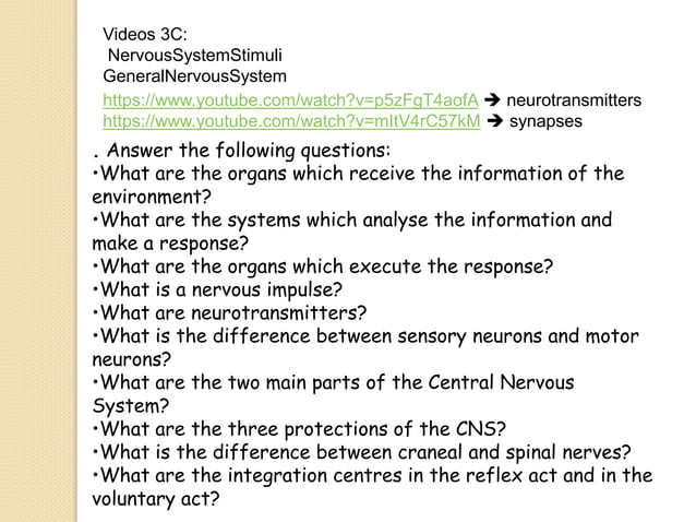 Unit 5 Nervous System | PPT