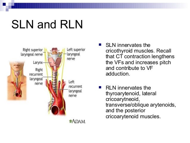 Unit 5 Neurogenic Voice Disorders Power Point