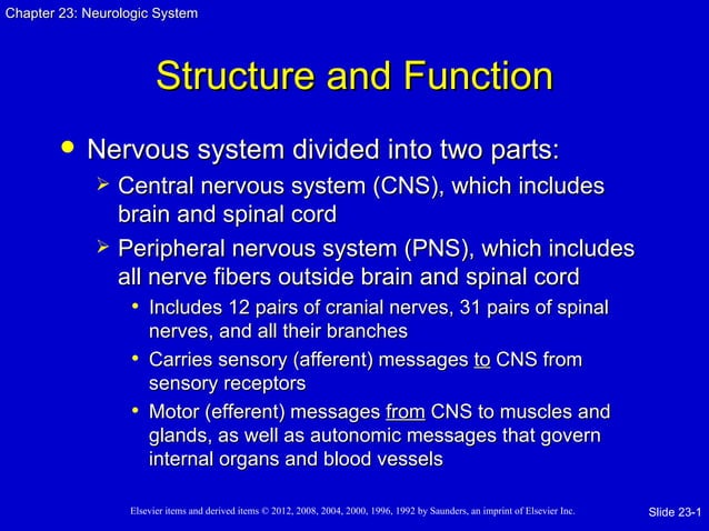 Unit 5 neurological system | PPT