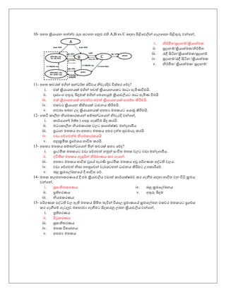 Questions for Lesson 5(AL ICT) | PDF