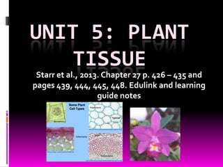plant tissue | PPT