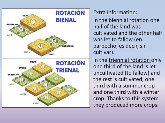 Unit 5: Rebirth of cities | PPT