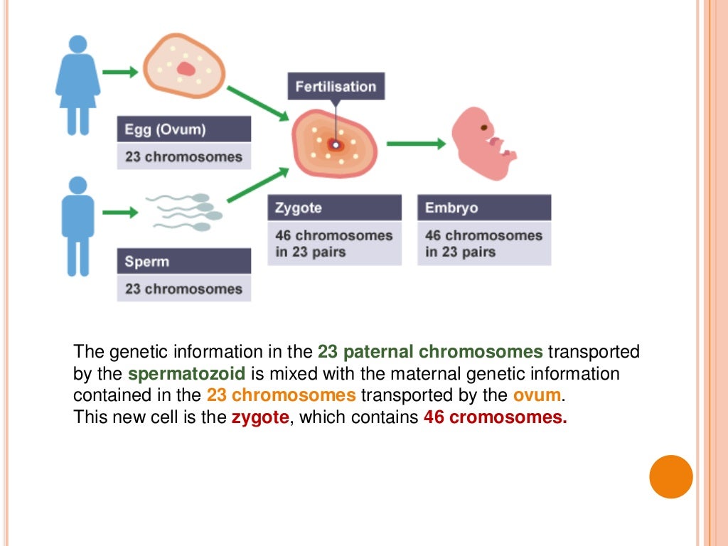 Unit5 Reproduction And Sexuality