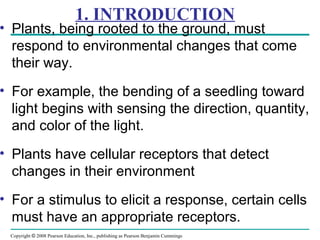 Unit 5 responding to the environment plants | PPT