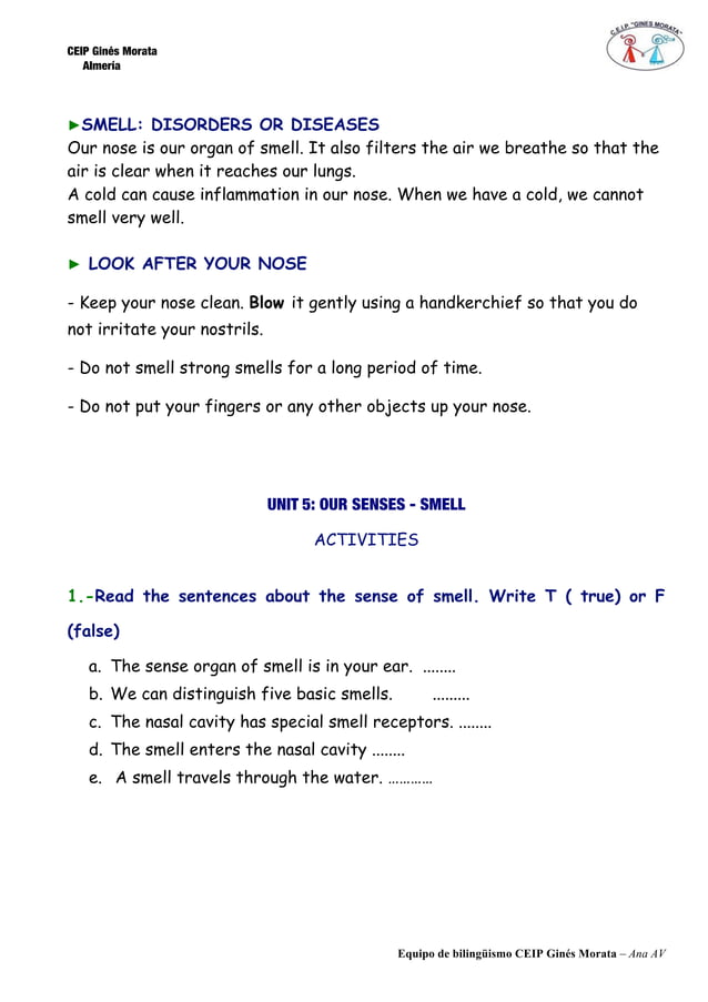 Unit 5 smell | PDF | Ear, Nose and Throat Conditions | Diseases and ...