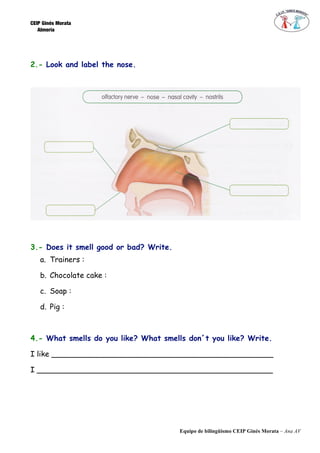 Unit 5 smell | PDF