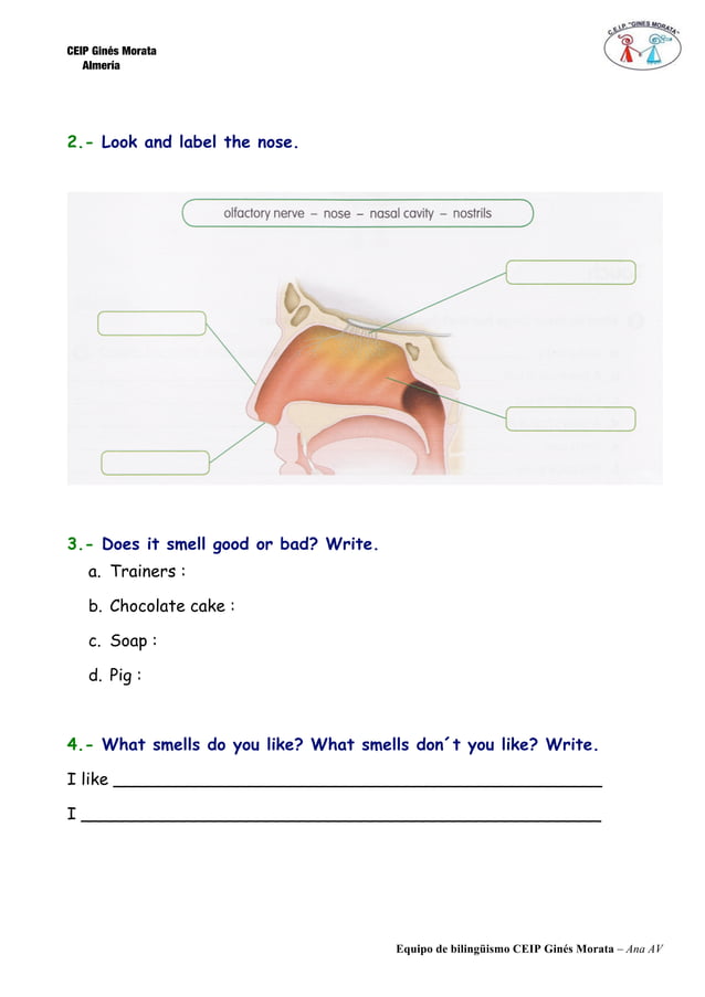 Unit 5 smell | PDF | Ear, Nose and Throat Conditions | Diseases and ...