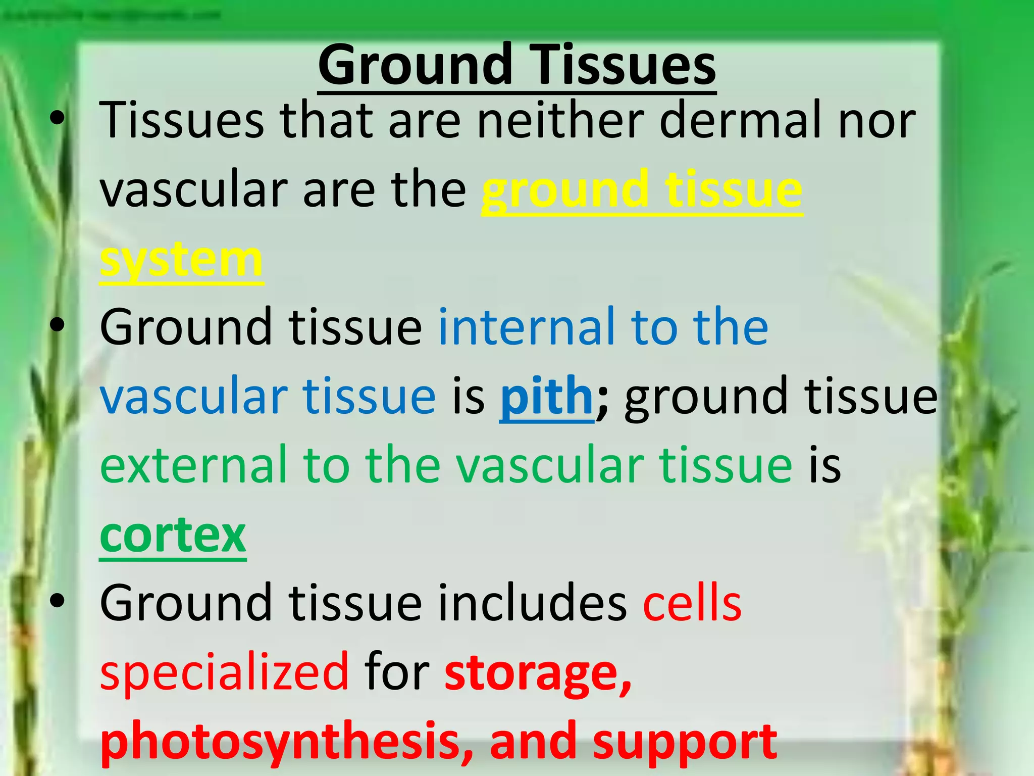 Unit 5 support and transport in plants | PPTX