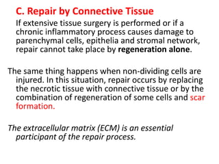 unit 5 Tissue Healing and Repair notes.ppt