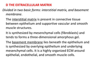 unit 5 Tissue Healing and Repair notes.ppt