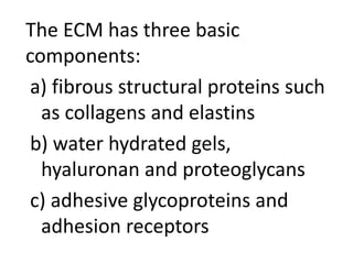 unit 5 Tissue Healing and Repair notes.ppt