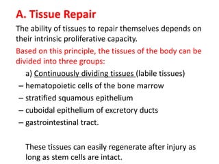 unit 5 Tissue Healing and Repair notes.ppt
