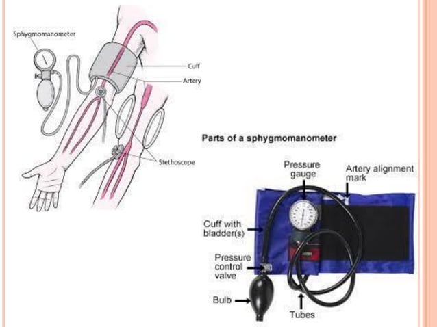 UNIT 5_TPR & BP.pdf Temperature pulse respiration blood pressure | PPT