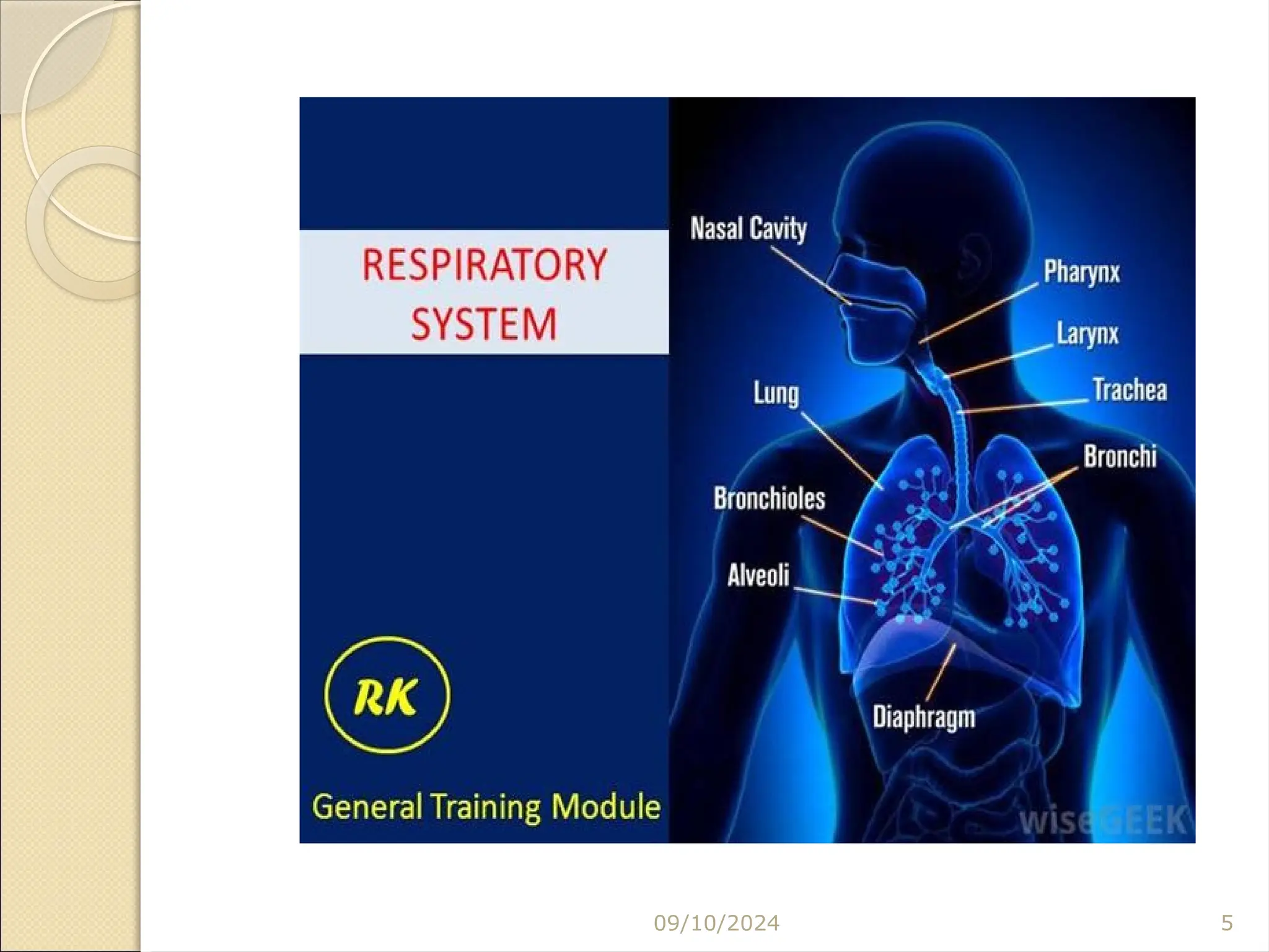 UNIT 5vital sign respiration.pptx for nurses | PPTX