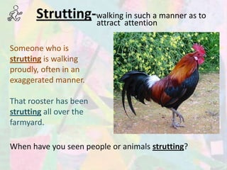 Unit5wk4 vocabulary introductions | PPT | Free Download