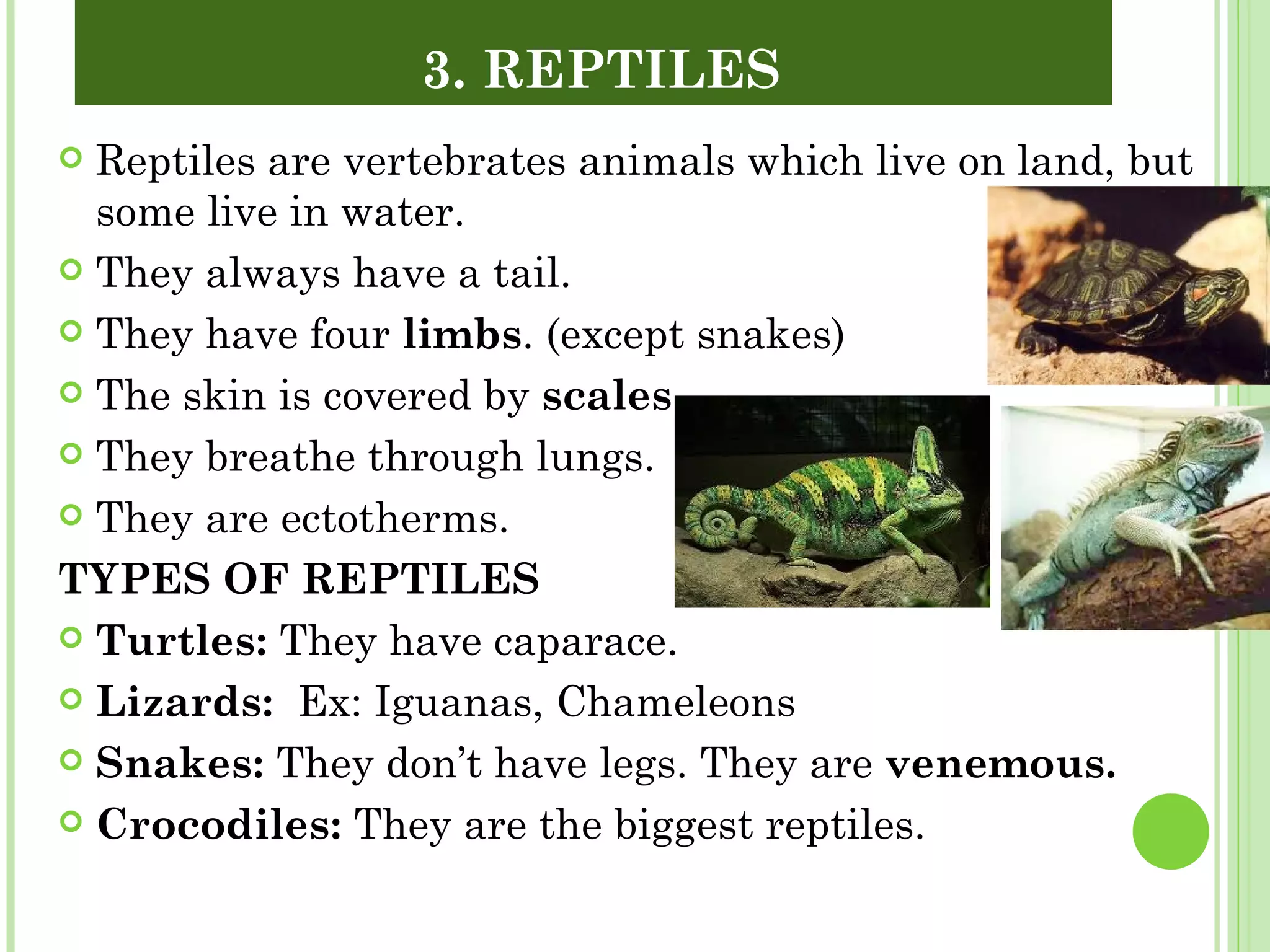 Unit 6. Vertebrates | PPT