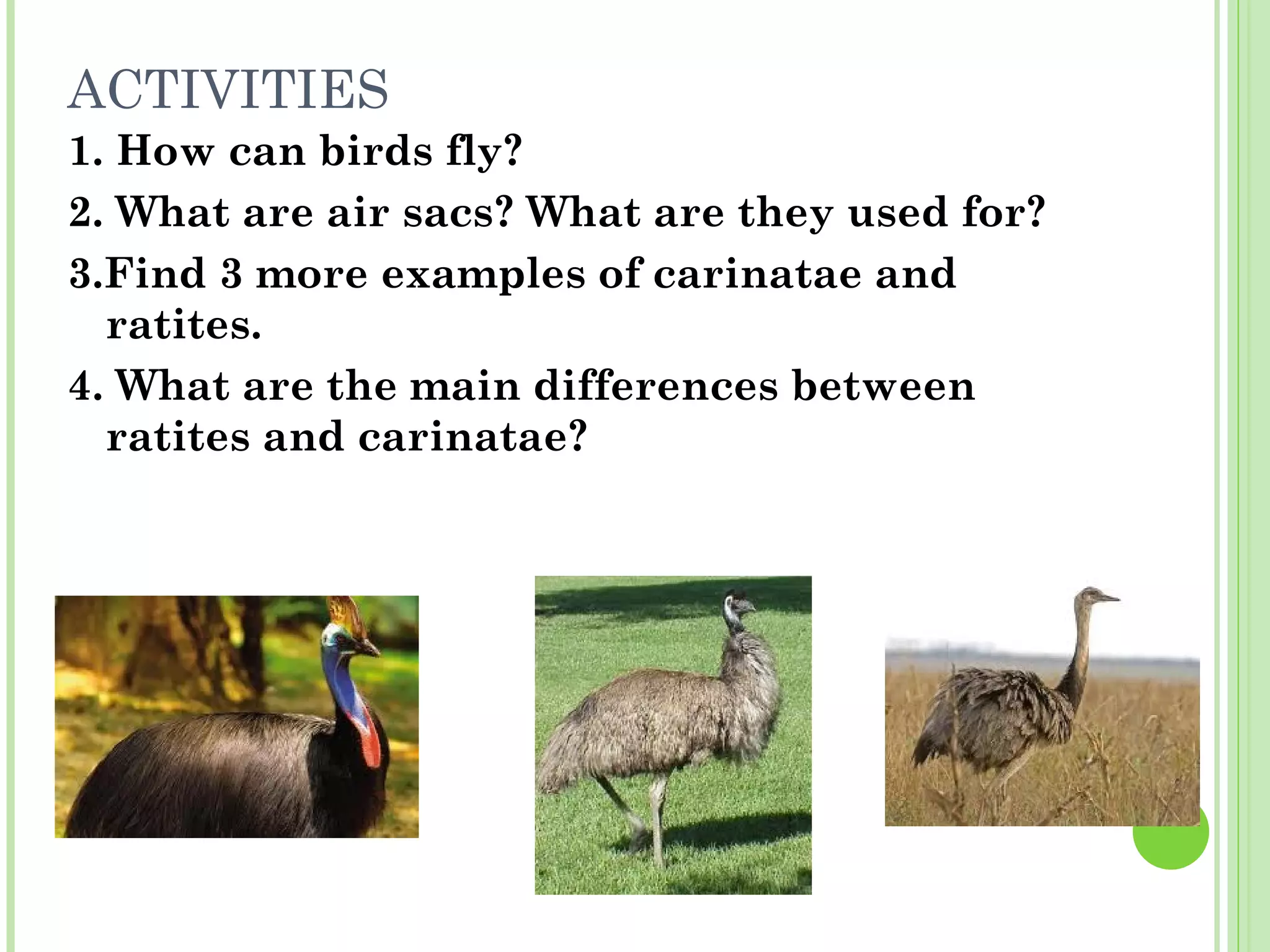 Unit 6. Vertebrates | PPT