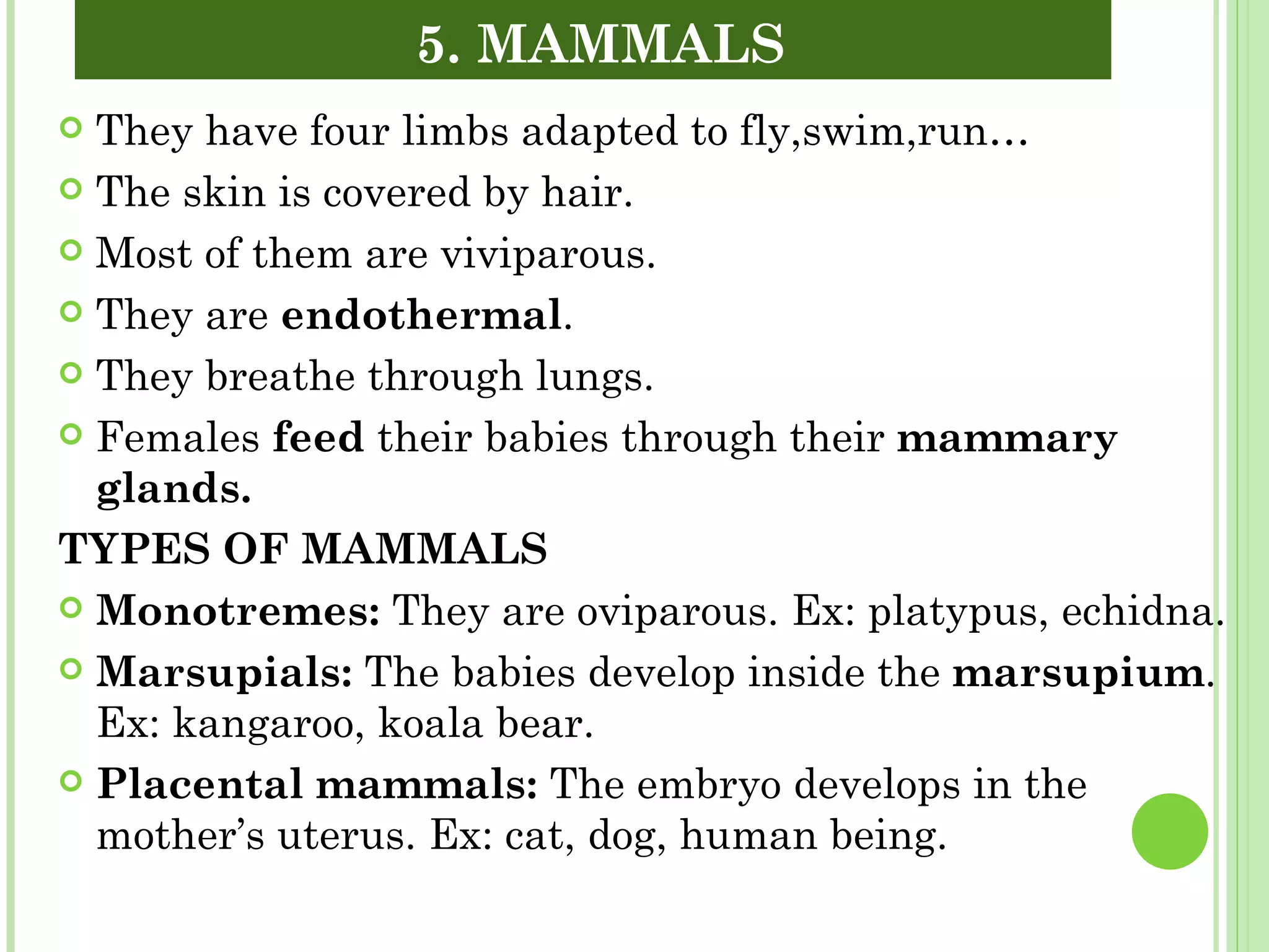 Unit 6. Vertebrates | PPT