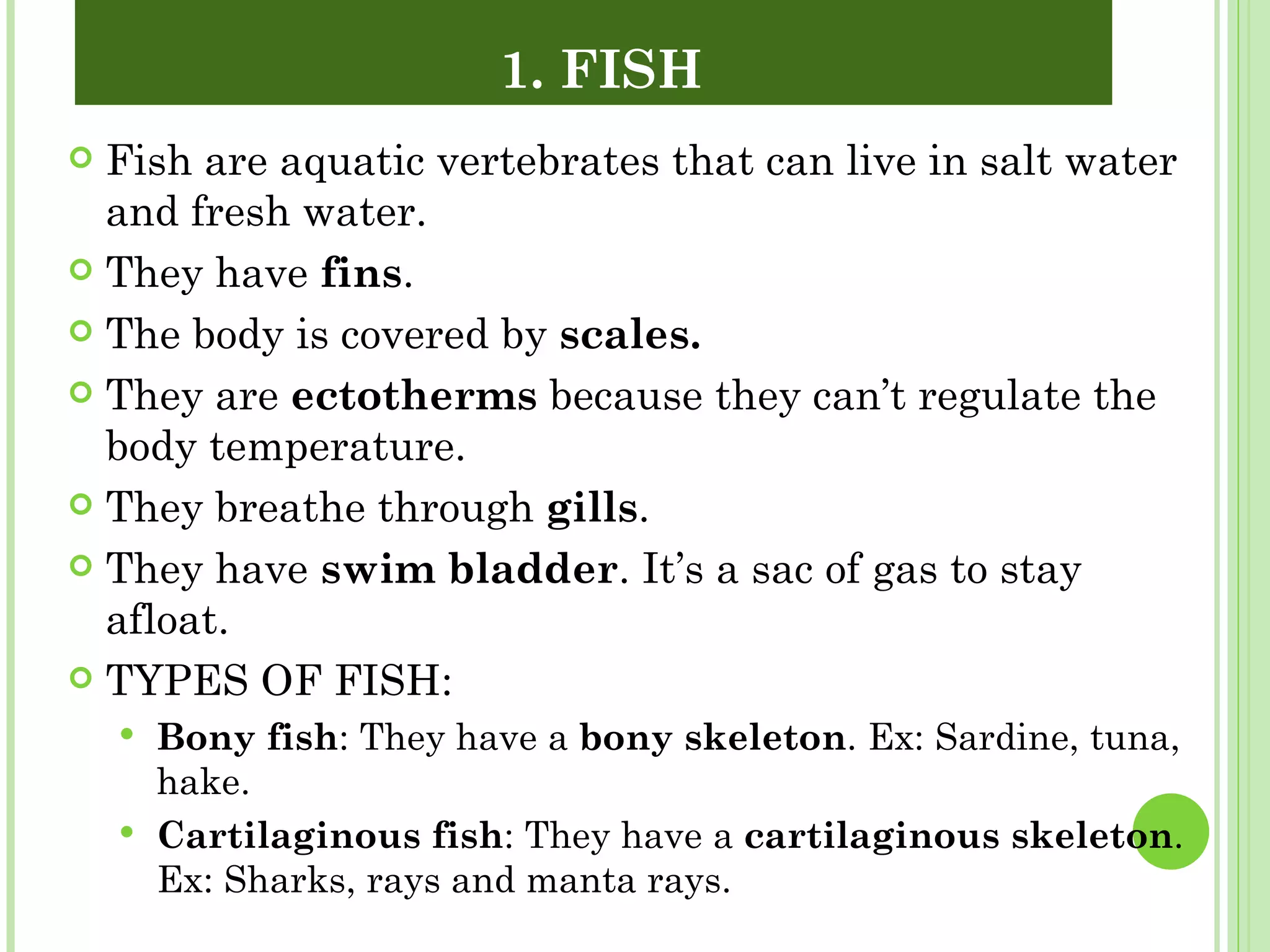 Unit 6. Vertebrates | PPT