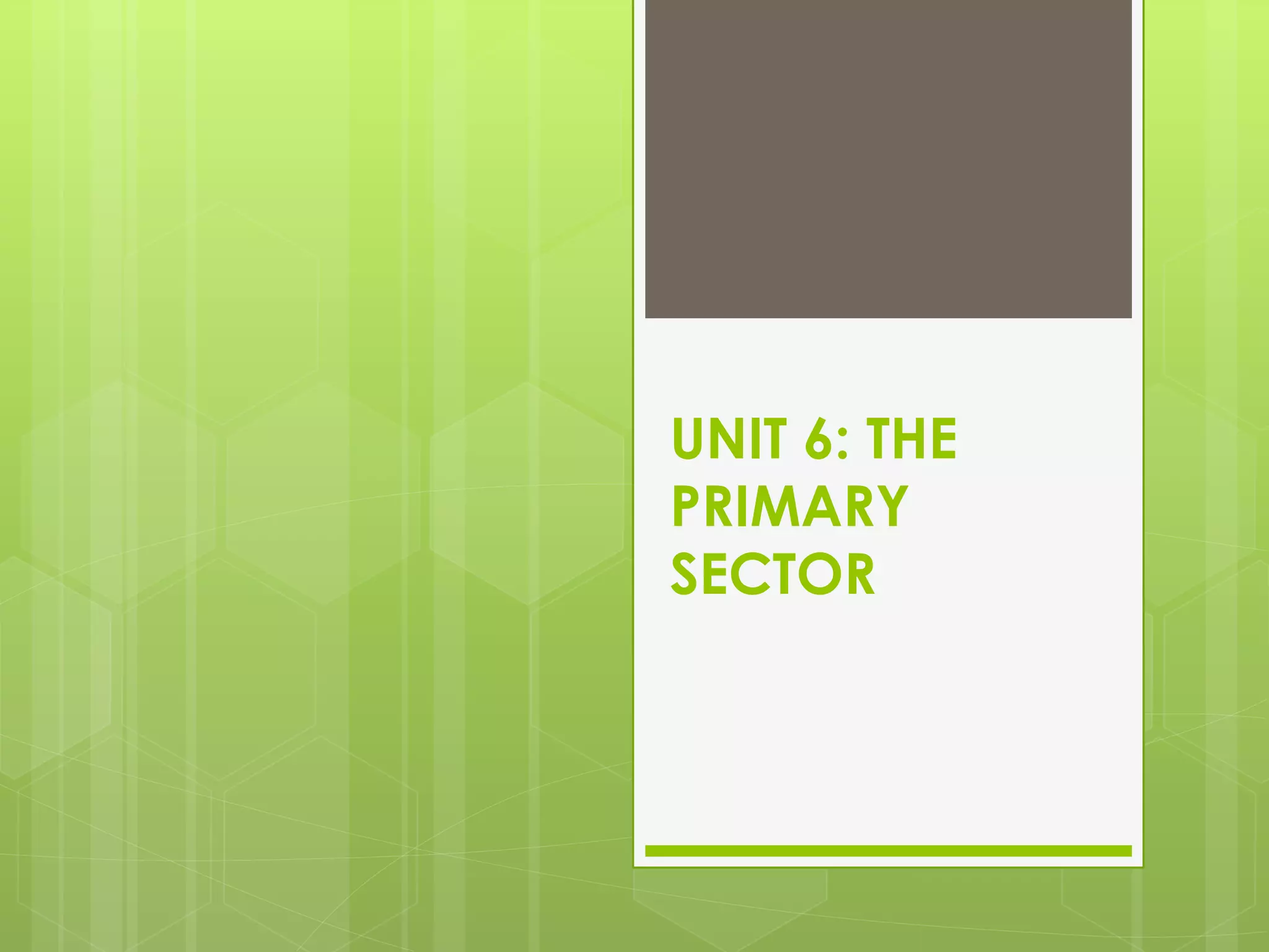 Unit 6: PRIMARY SECTOR | PPT