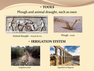 Unit 6. Roman Civilisation | PPTX