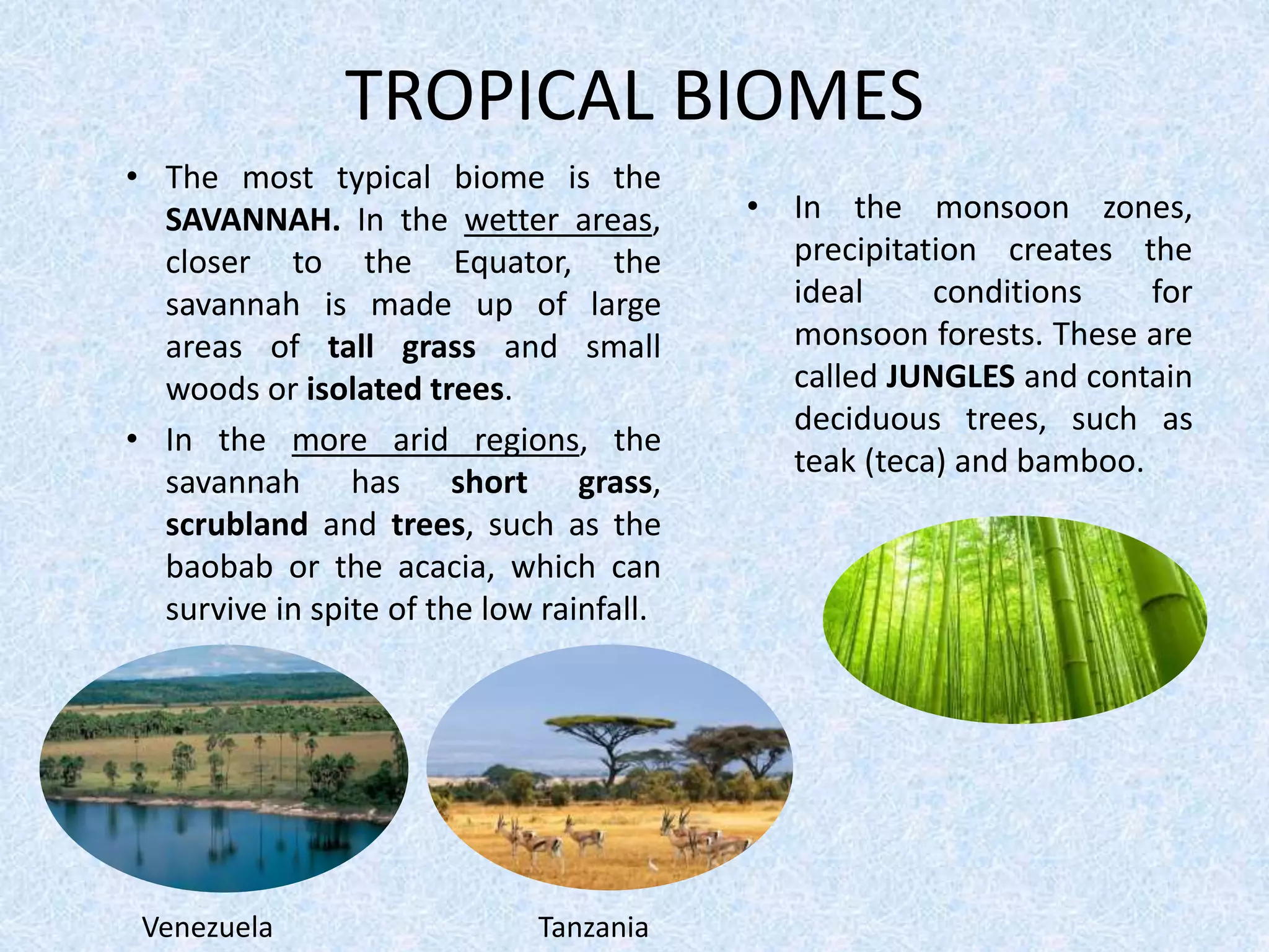 Unit 6. Biomes | PPTX