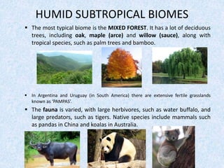 Unit 6. Biomes | PPTX