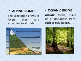 Unit 6. Biomes | PPTX