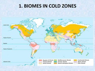 Unit 6. Biomes | PPTX