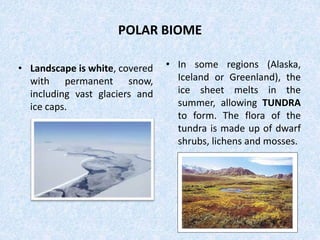 Unit 6. Biomes | PPTX | South America Travel | Travel Locations