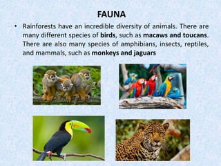 Unit 6. Biomes | PPTX